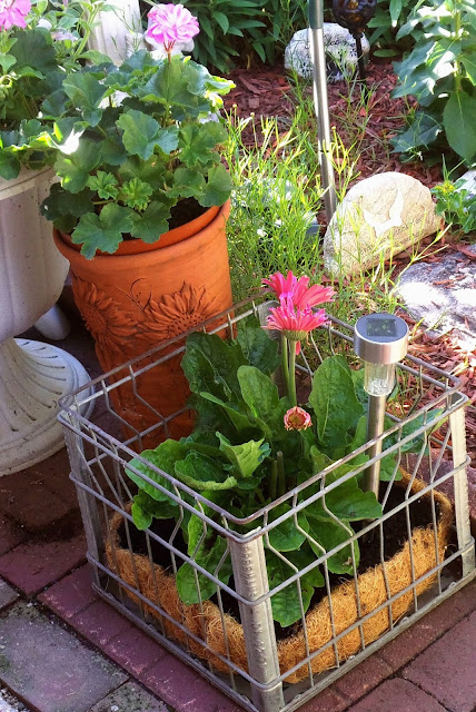DEBBIE-DABBLE BLOG: A Few "Different" Plant Containers and Stands!