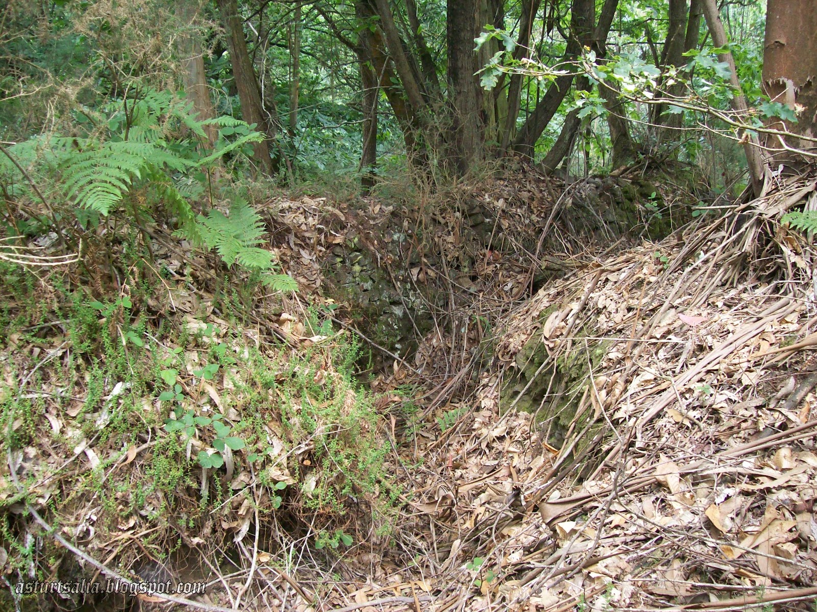 Asturtsalia: Caminando por el monte de La Trecha