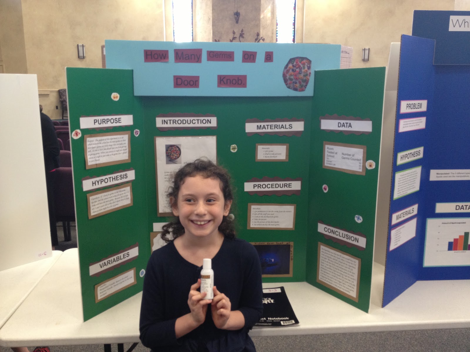 Ms. Social Studies: Science Fair Projects