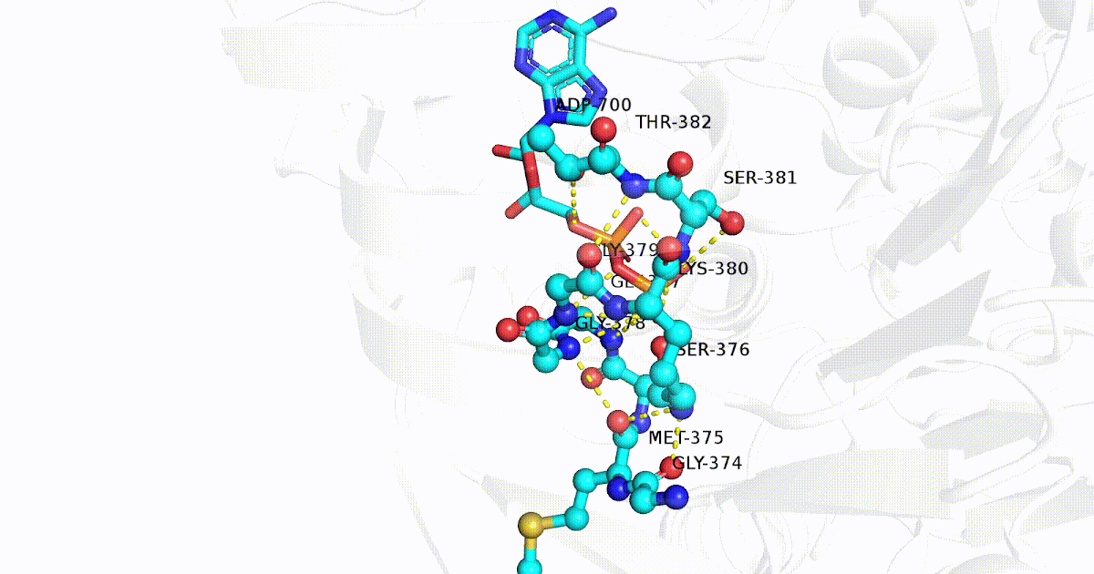Lipid-linked Oligosaccharide Flippase: Structure and mechanism of an ...