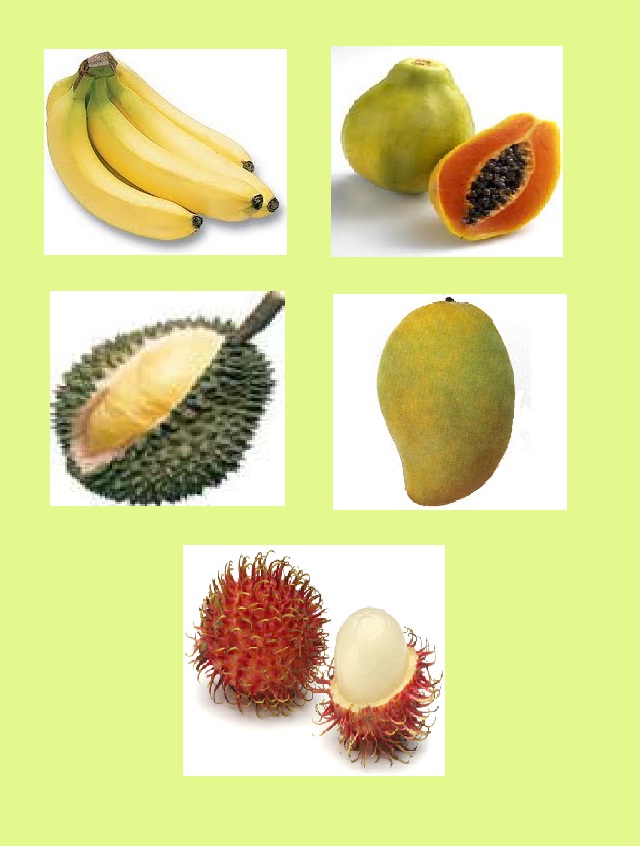 Tema Buah-Buahan | TEMA BUAH-BUAHAN