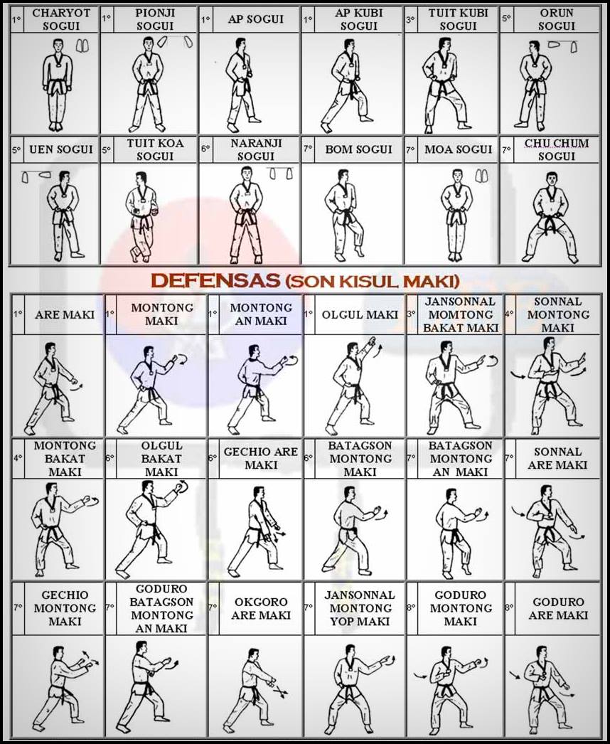 STEEL-TIGERS TAEKWONDO: Técnicas de Taekwondo