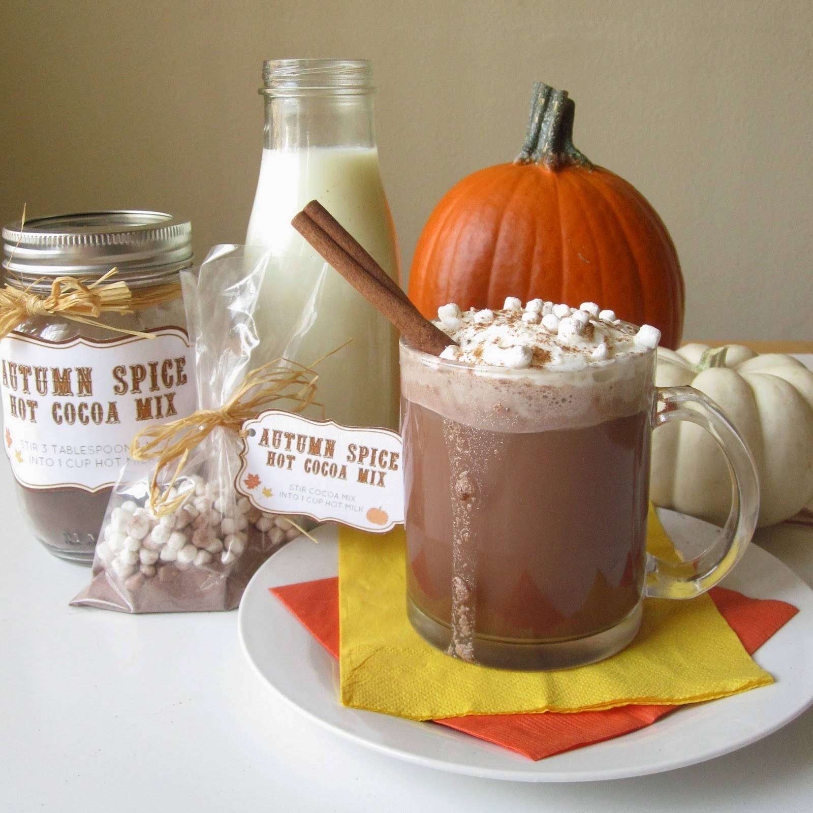 Autumn Spice Hot Cocoa Mix (With Free Printable Gift Tag) - The Lindsay Ann