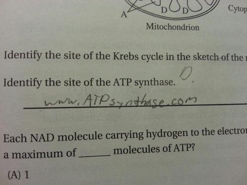 Biology Humor