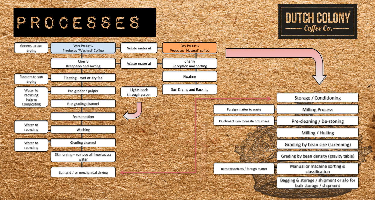Unwashed, Dry and/or Natural Process - Tasting the process instead of ...