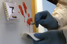 Criminalística : MANCHAS COMO EVIDENCIA Criminalística Ensayo Unidad III