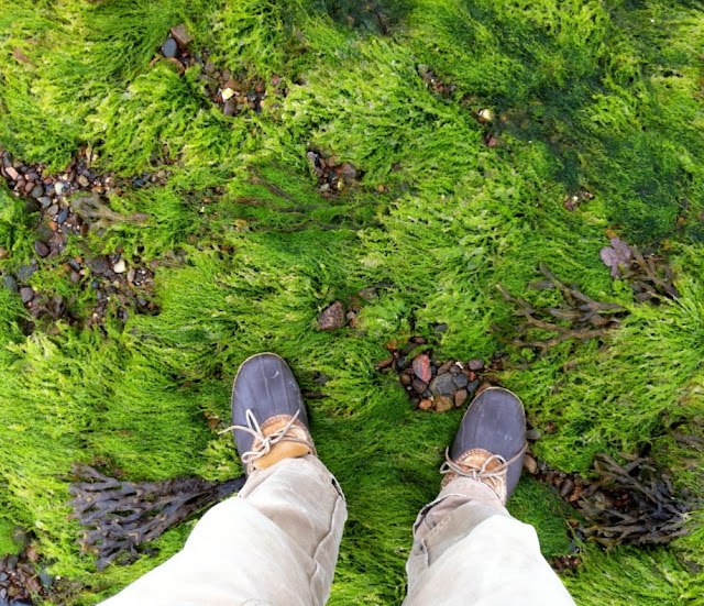 10engines: 10E2231: The Uniform