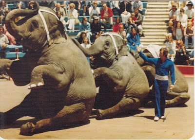 The Circus "NO SPIN ZONE": Old MarineWorld-Africa USA