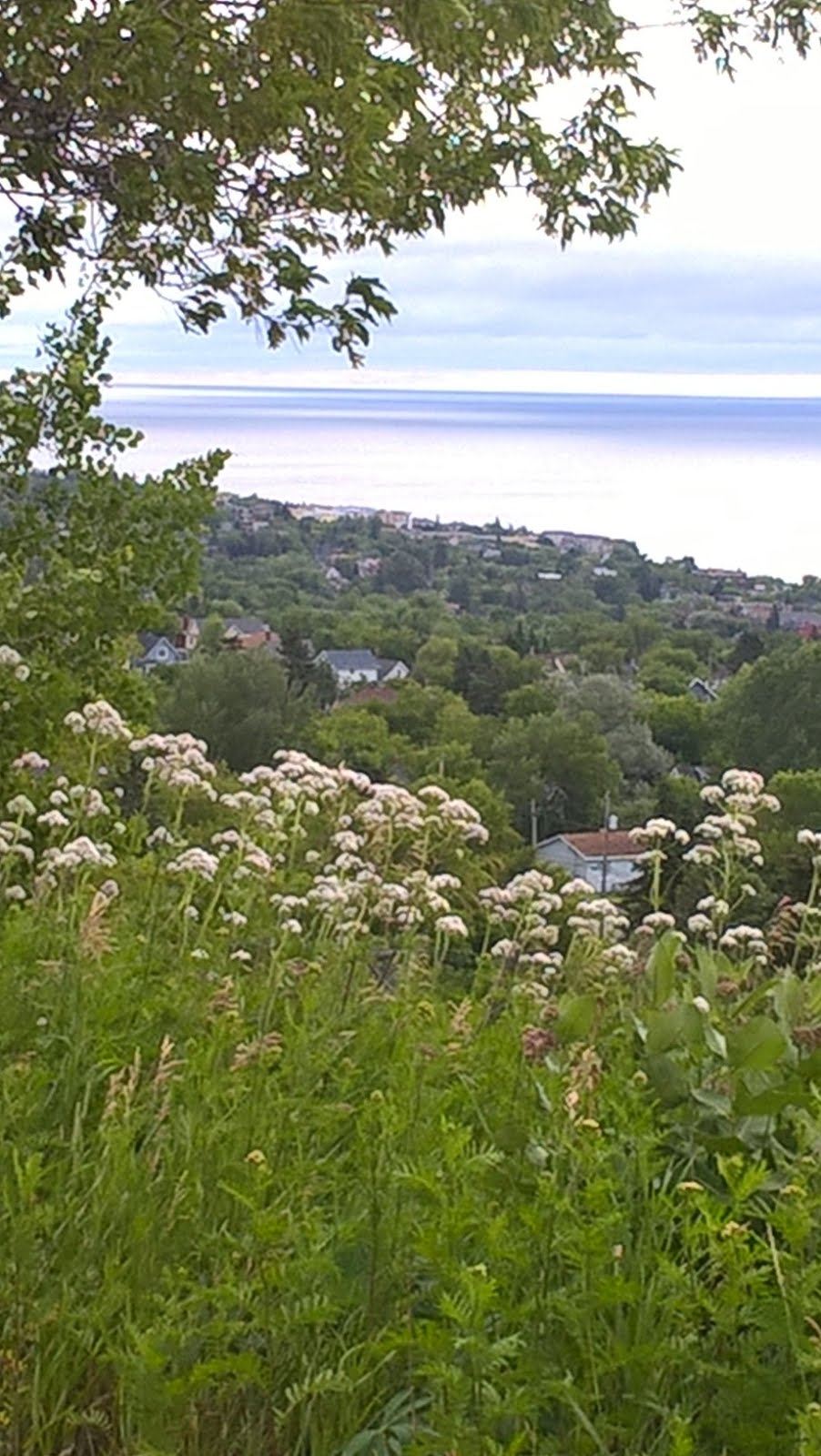 Lake Superior Rift Change: The Keweenawan Rift Seismic Activity: August ...