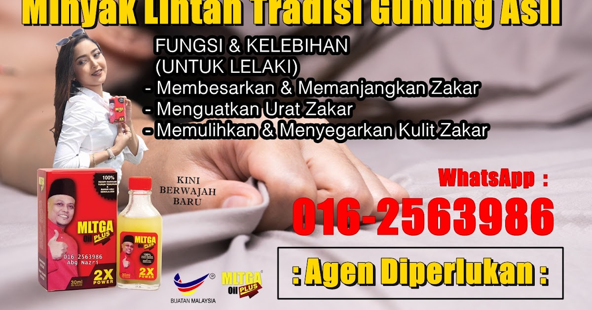 PEMBEKAL UTAMA MINYAK LINTAH BELACAK MLTGA OIL PLUS PATI LINTAH GUNUNG ...