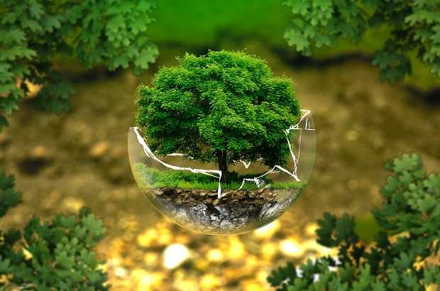 Environmental Protection and Human Rights - How to Protect Human Rights ...