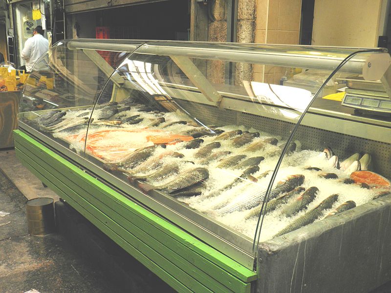 Why Do You Need a Fish Display Case?