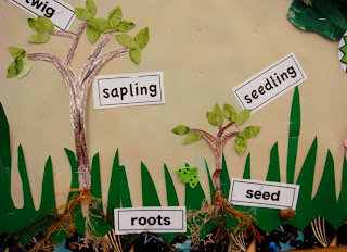 ADDINGTON SCHOOL ESOL: Displays