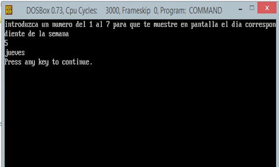 programacion básica conalep: ejercicios de la sentencia switch case