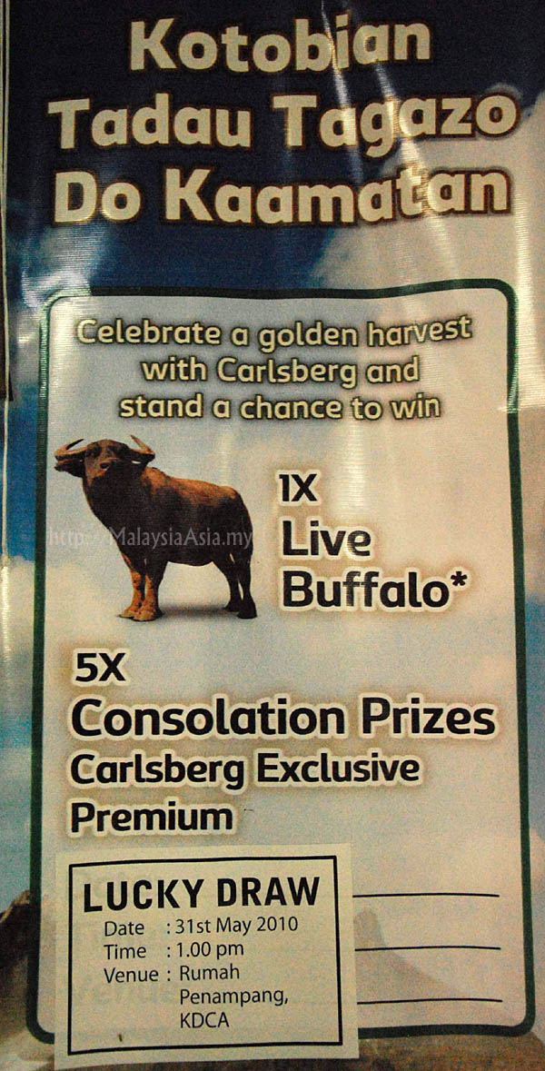 Kaamatan Harvest Festival in Sabah - Malaysia Asia