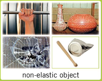 Mi primer año en Red XXI: 2012