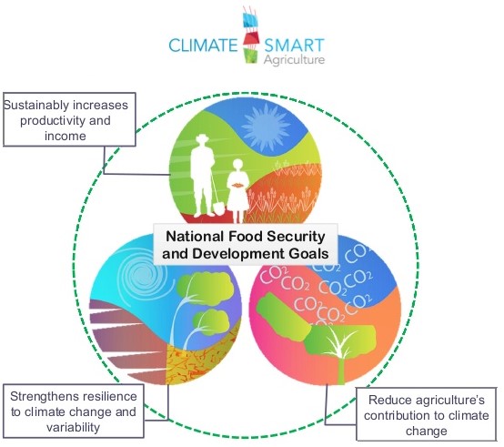 IPS CLIMATEnet: Climate Change Policy Network of Sri Lanka: Climate ...