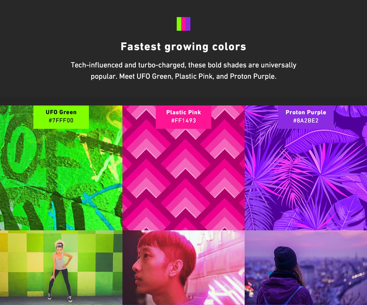 Pick Your Favorite Hues from the Shutterstock 2019 Color Trends Report
