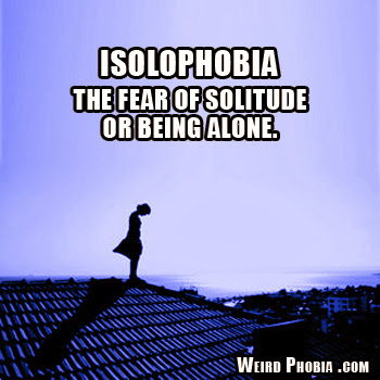 Collections: November 2013