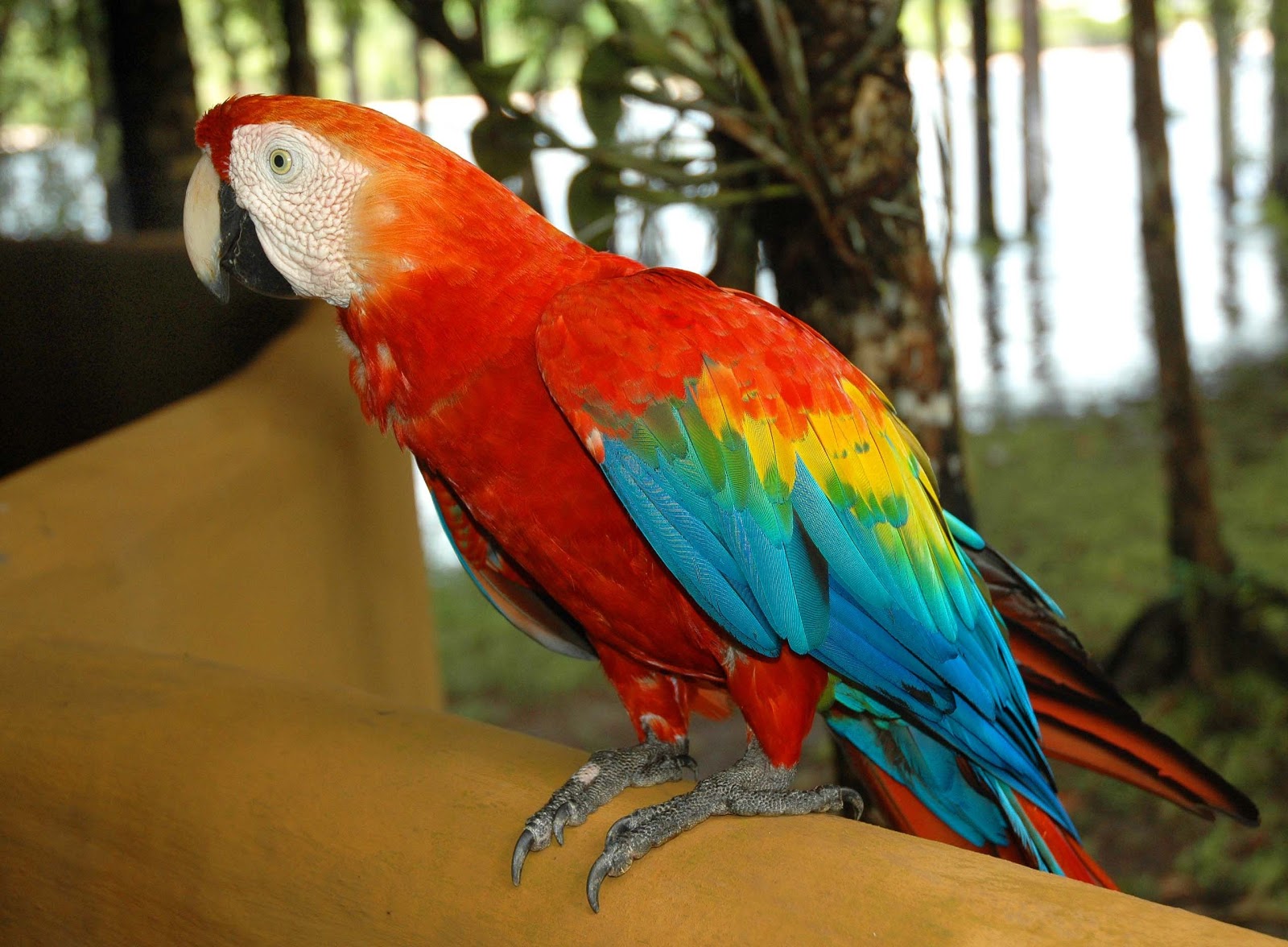 Analisis Y Desarrollo De Sistemas De Información