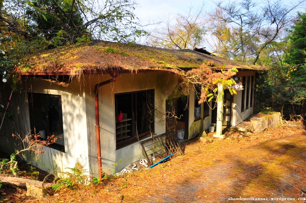 Deserted Places: Koga Family Land: An abandoned amusement park in Japan