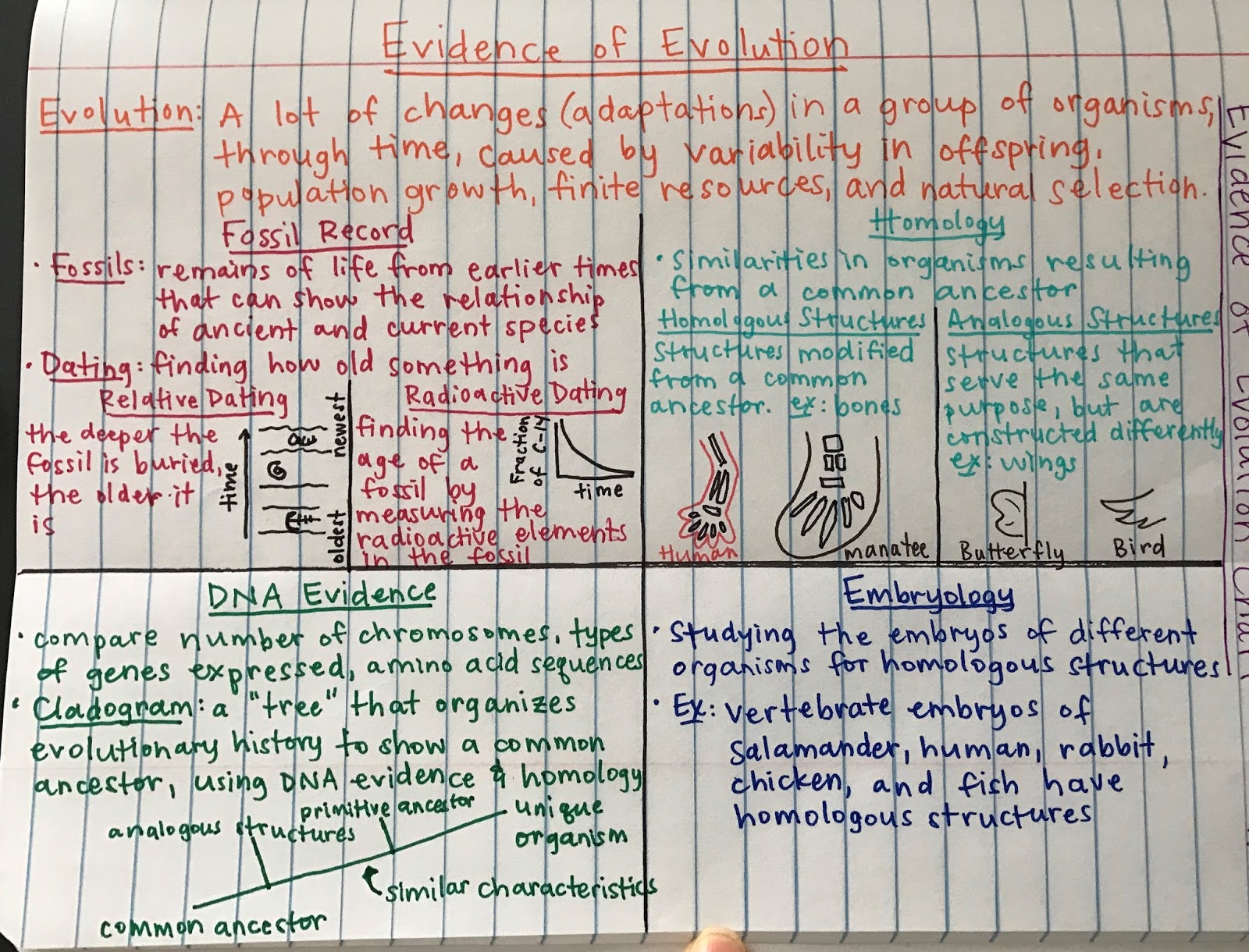 Mrs. Paul - Biology: Biology 2016-2017 Charts/Notes