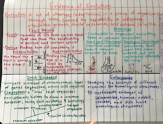 Mrs. Paul - Biology: Biology 2016-2017 Charts/Notes
