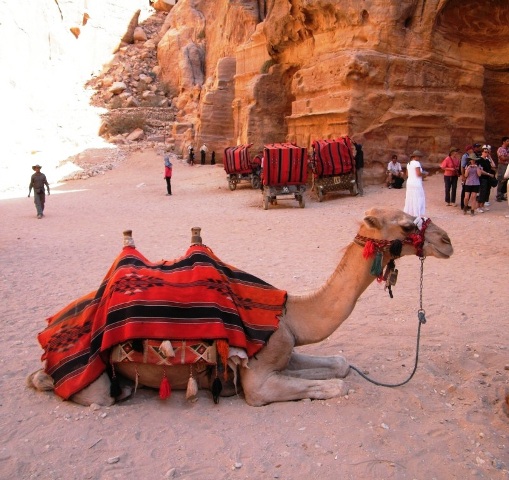 Terra Santa : Parque Arqueológico de Petra, cidade dos Nabateus ~ Arte ...