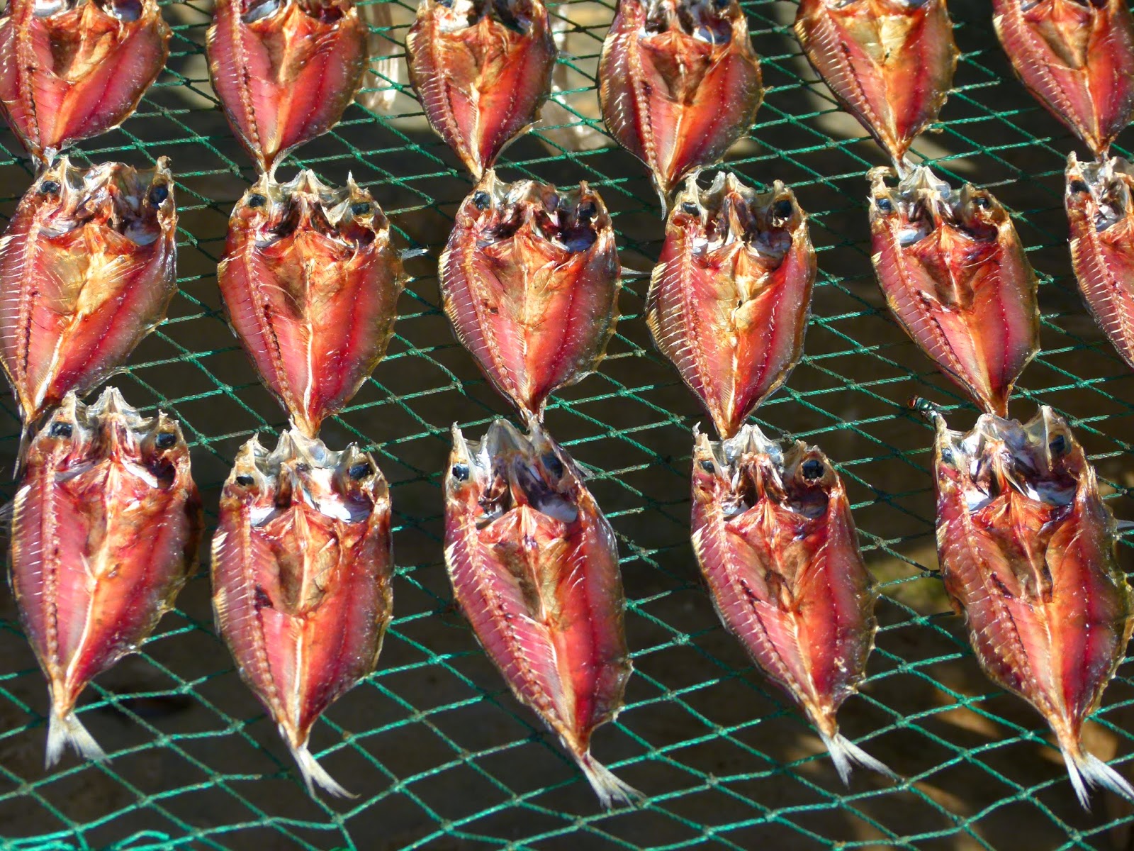 CAIBIRAN, BILIRAN - Lakwatserong Tsinelas