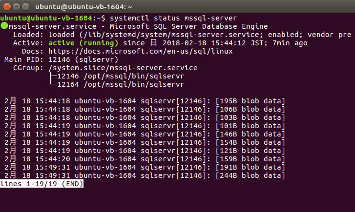 SQL Server その16 - Ubuntu 16.04にSQL Server 2017をインストールするには - kledgeb