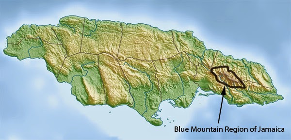 Coffee Bean and Tea Leaf Jamaican Blue Mountain - Winn Whissind36