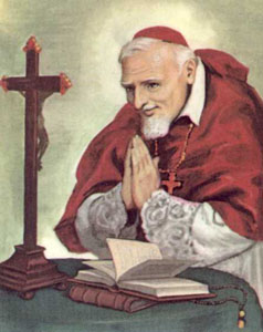 Holy Father on Saint Alphonsus