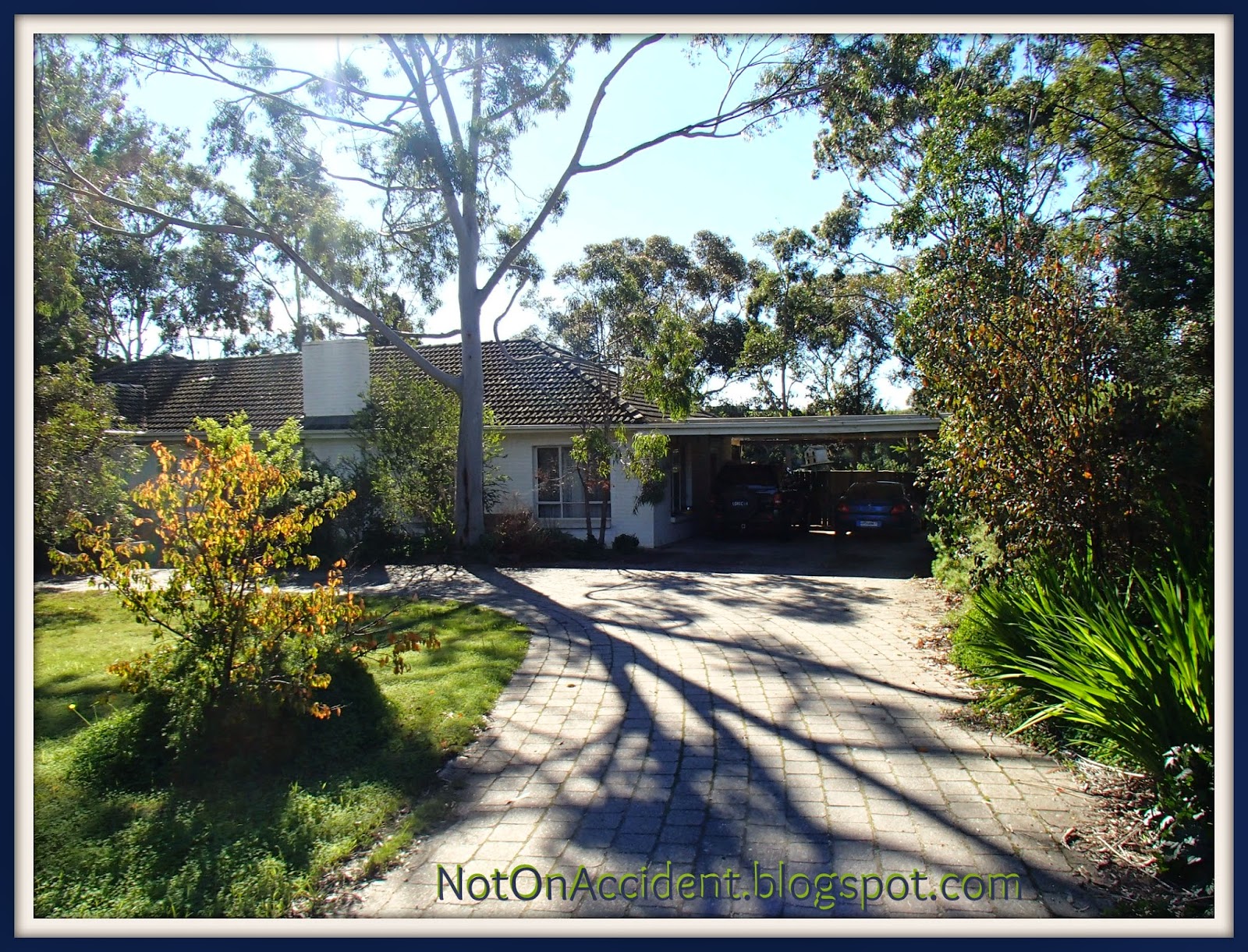 Not By Accident: Live your life with purpose: My foray into the realm ...