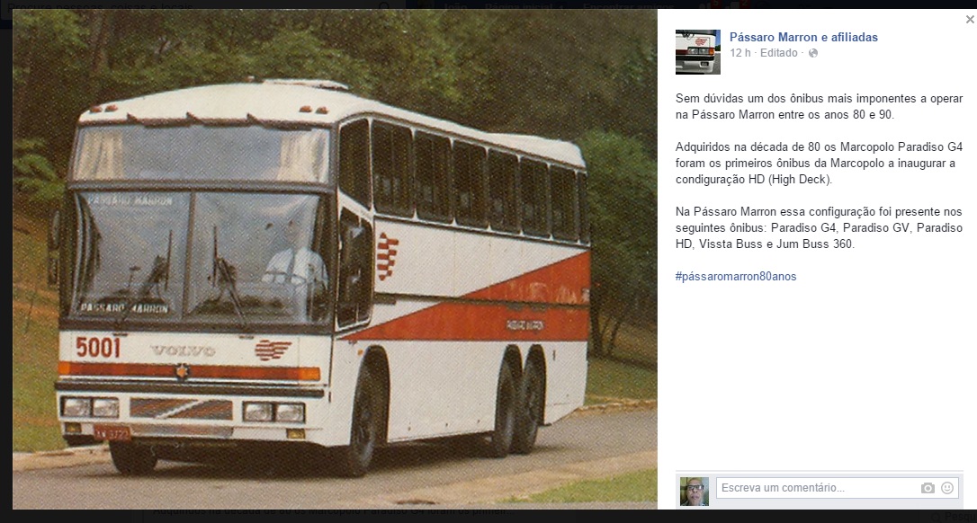 Litoralbus: Pássaro Marron 80 anos - fotos homenagens