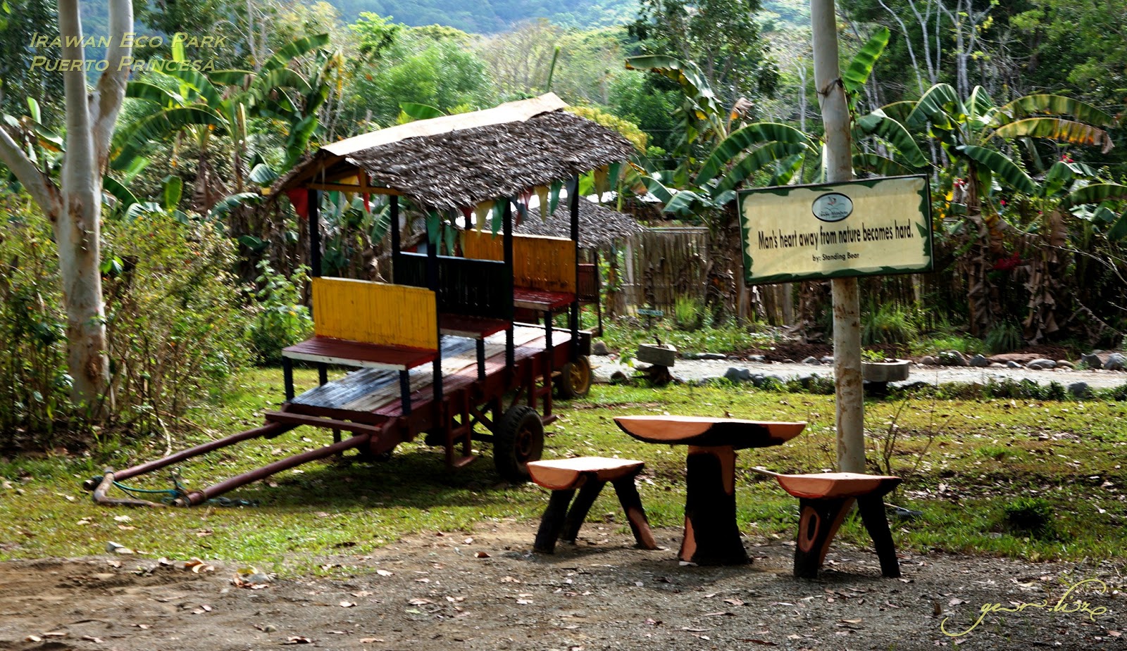 Irawan Eco Park [Puerto Princesa 2013] | Trips... by Liz