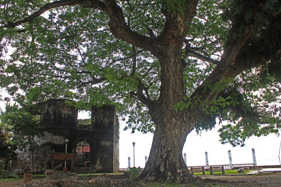 Let's Discover Malabuyoc