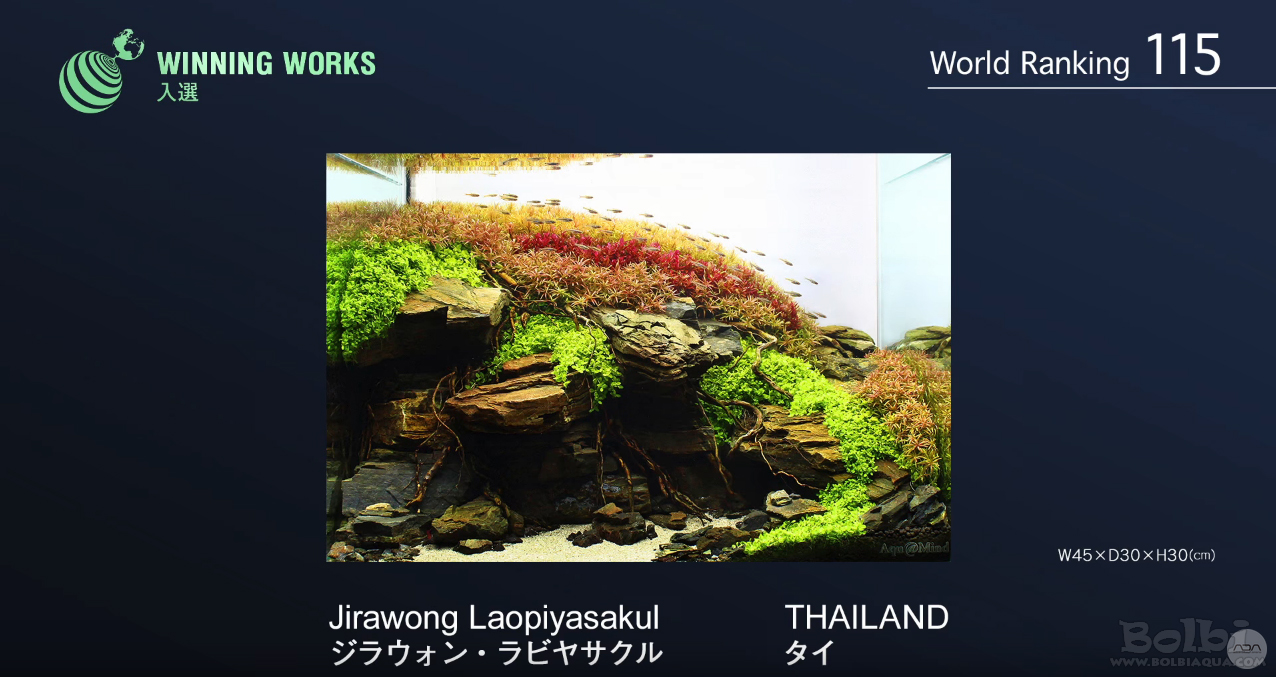 IAPLC 2017 - Top 127 [Photos] ~ Bolbi Aquarium