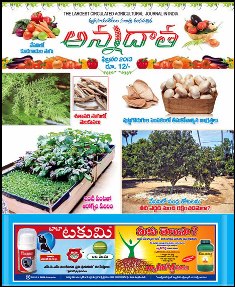 Annadata February 2013 | TeluguEbooks4u