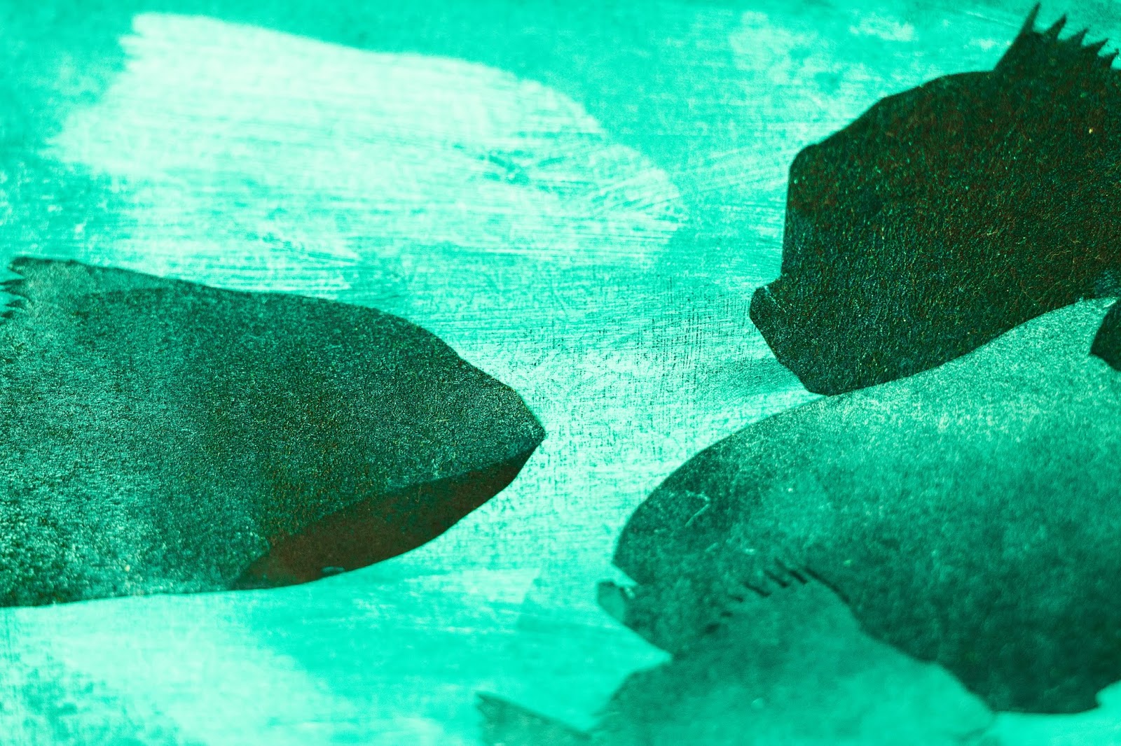 Área3 Photo: PROYECTO CROMOZ (EXPOSICIÓN) Cafetería Airas Nunes ...