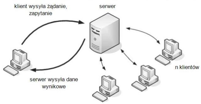 Sieci komputerowe - Życie w świecie skoncentrowanym na sieciach ...