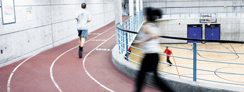 Cardio Trek - Toronto Personal Trainer: All Year Fitness in Toronto