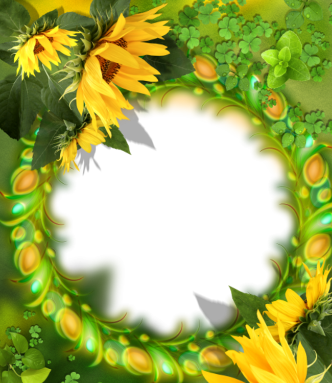 ForgetMeNot: sunflowers frames