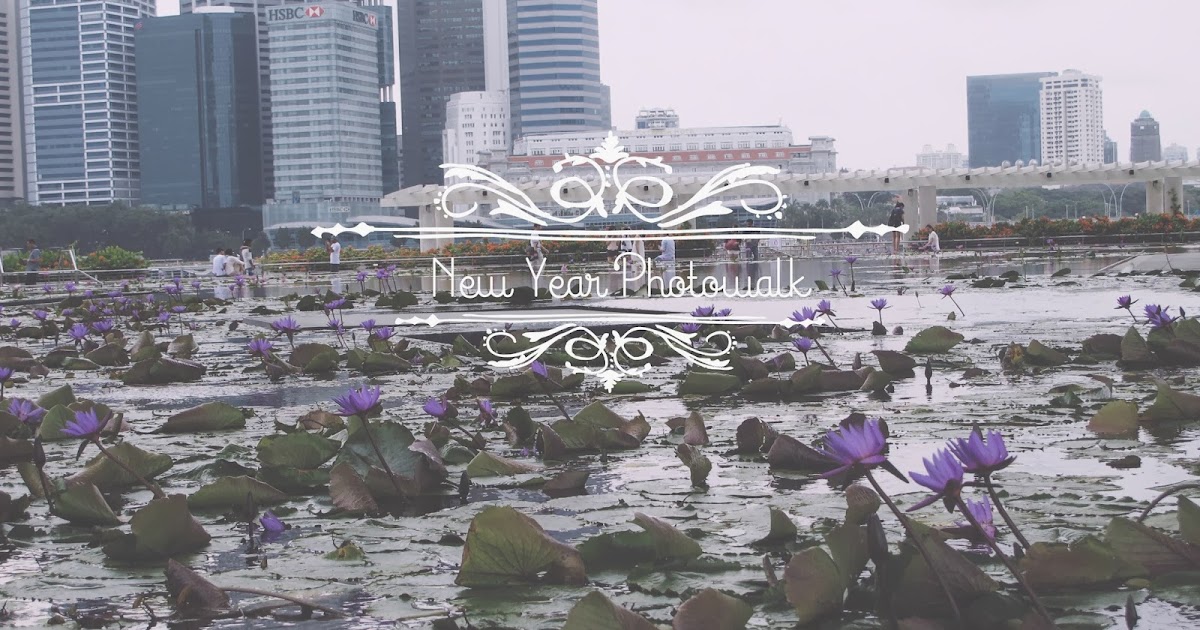 Bayfront South Photowalk | A Photographic Diary