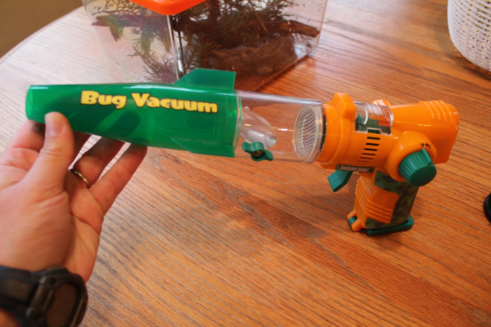 Kids Love Bugs: Tools - Bug Vacuum and DIY Aspirator Collectors