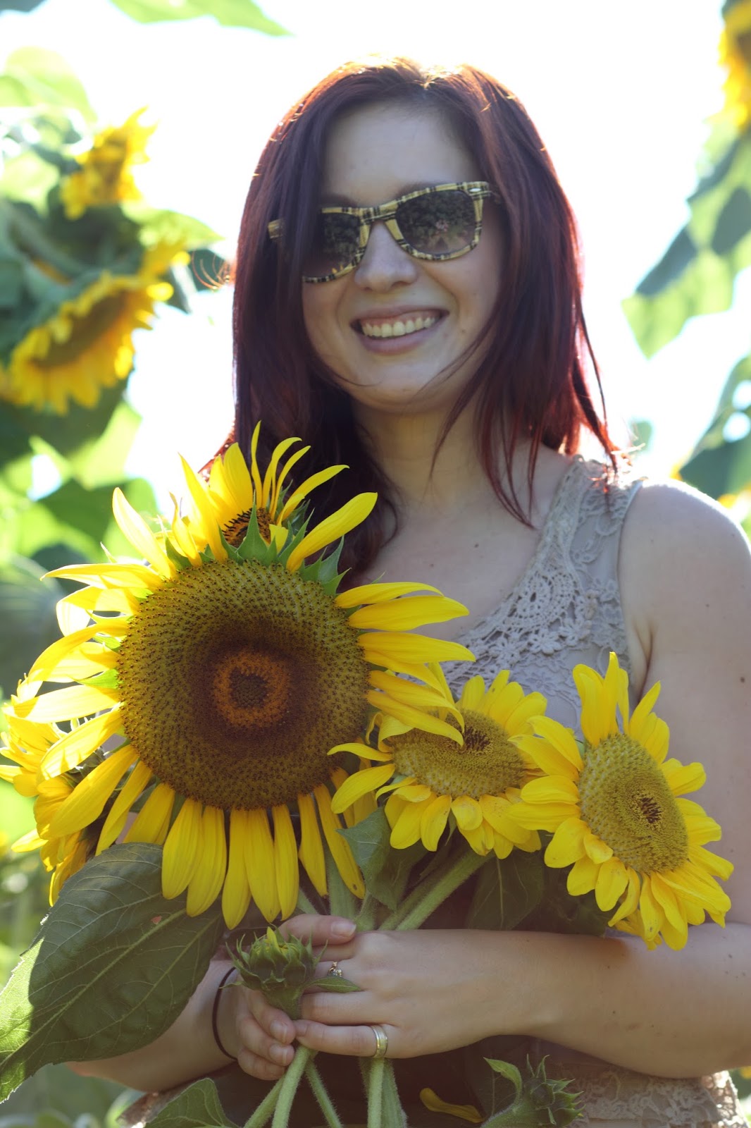 I promised you sunflowers - Monica Hayworth