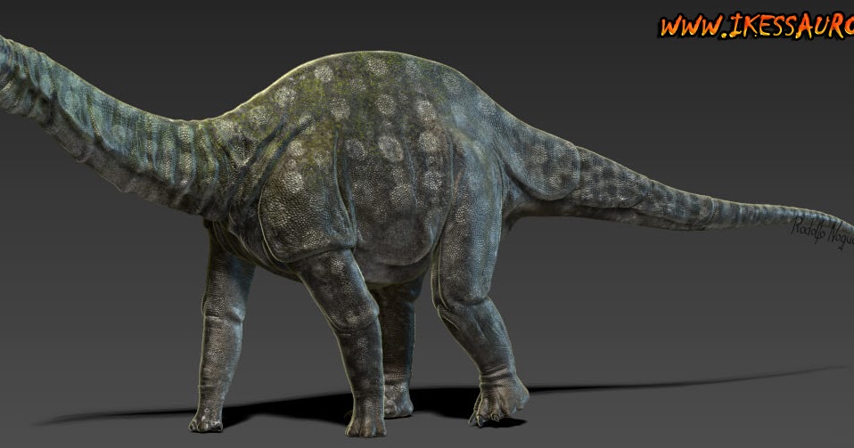 Amazonsaurus | Ikessauro