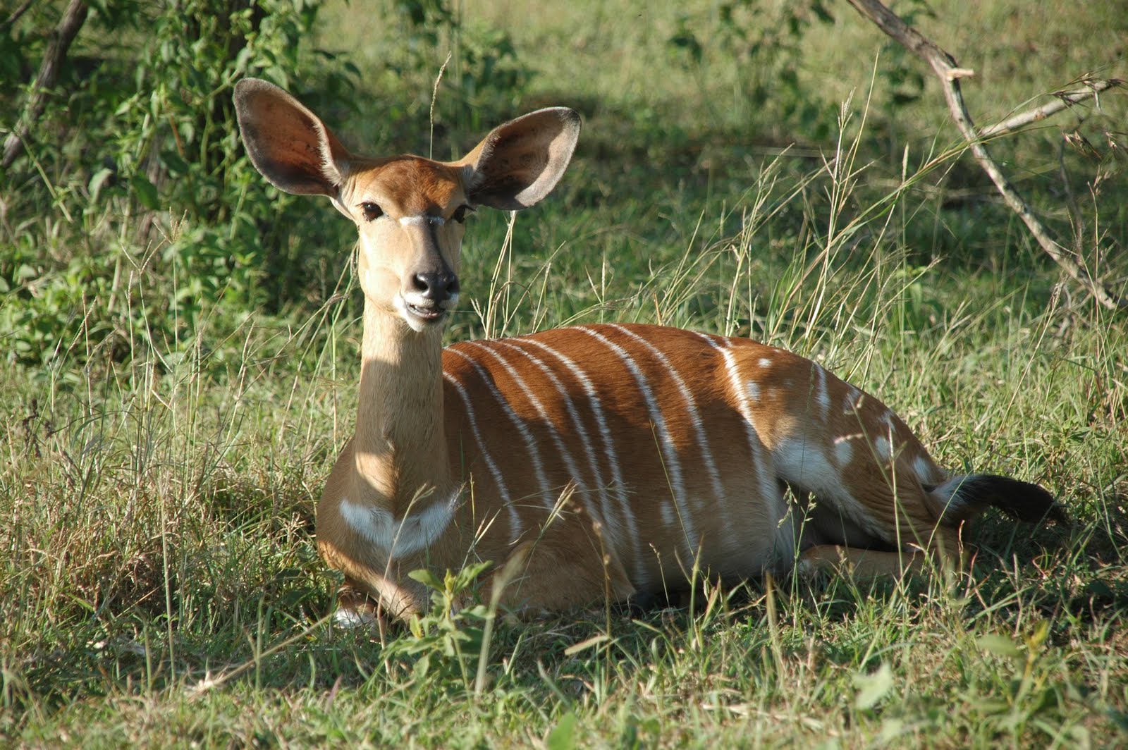 South Africa 2008: May 21- Setting Our Sights