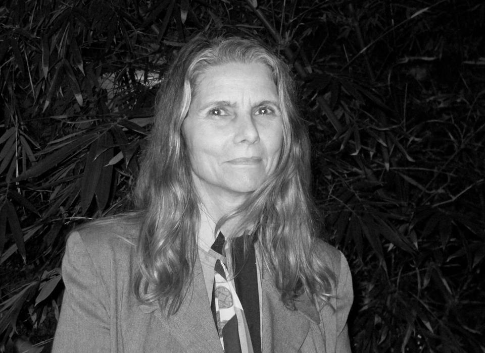 One Hundred Percent Rag: A Paradigm of Valor-LISA ADAMS AND STEVE ...