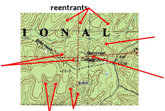 A newbie's guide to the Berryman Adventure Race