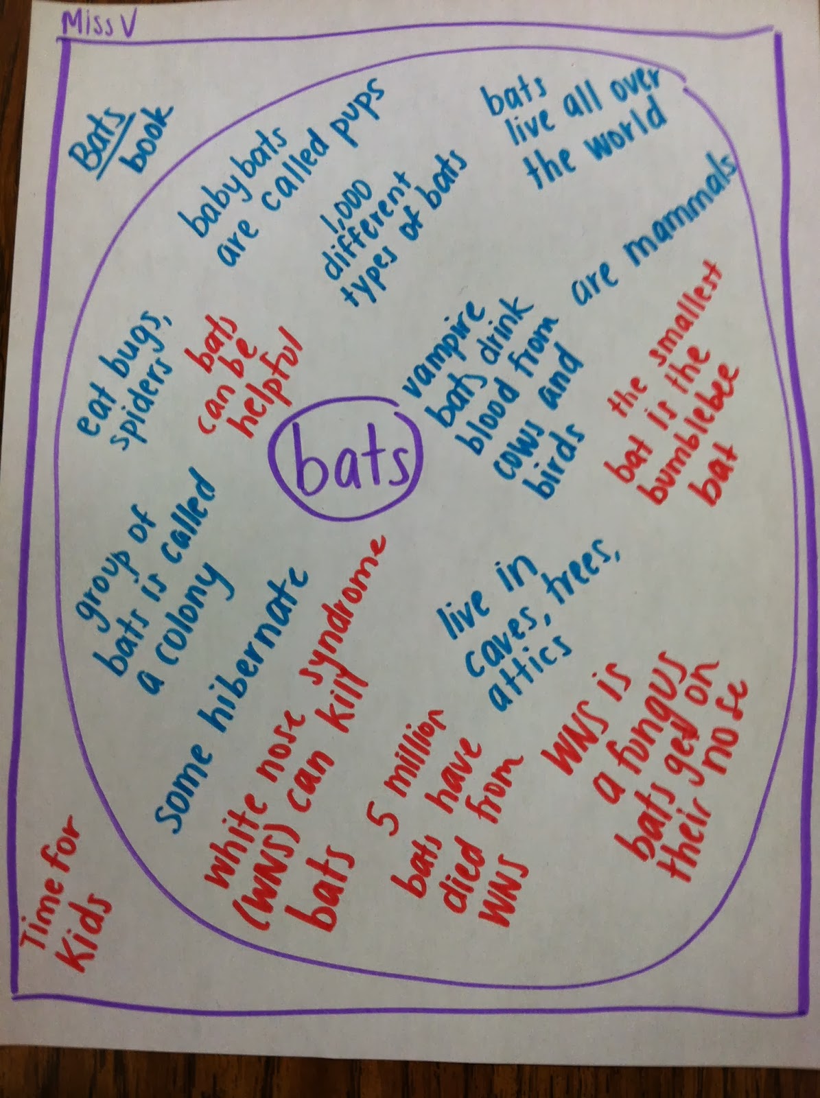 Using Time for Kids to Learn About Bats - Team J's Classroom Fun